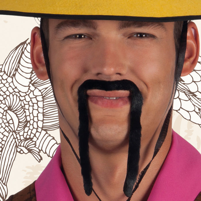 Bart Chinese, schwarz - Bärte, Koteletten & Toupets Perücken & Bärte ...